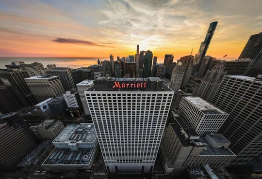 Magnificent Mile™ Tulip